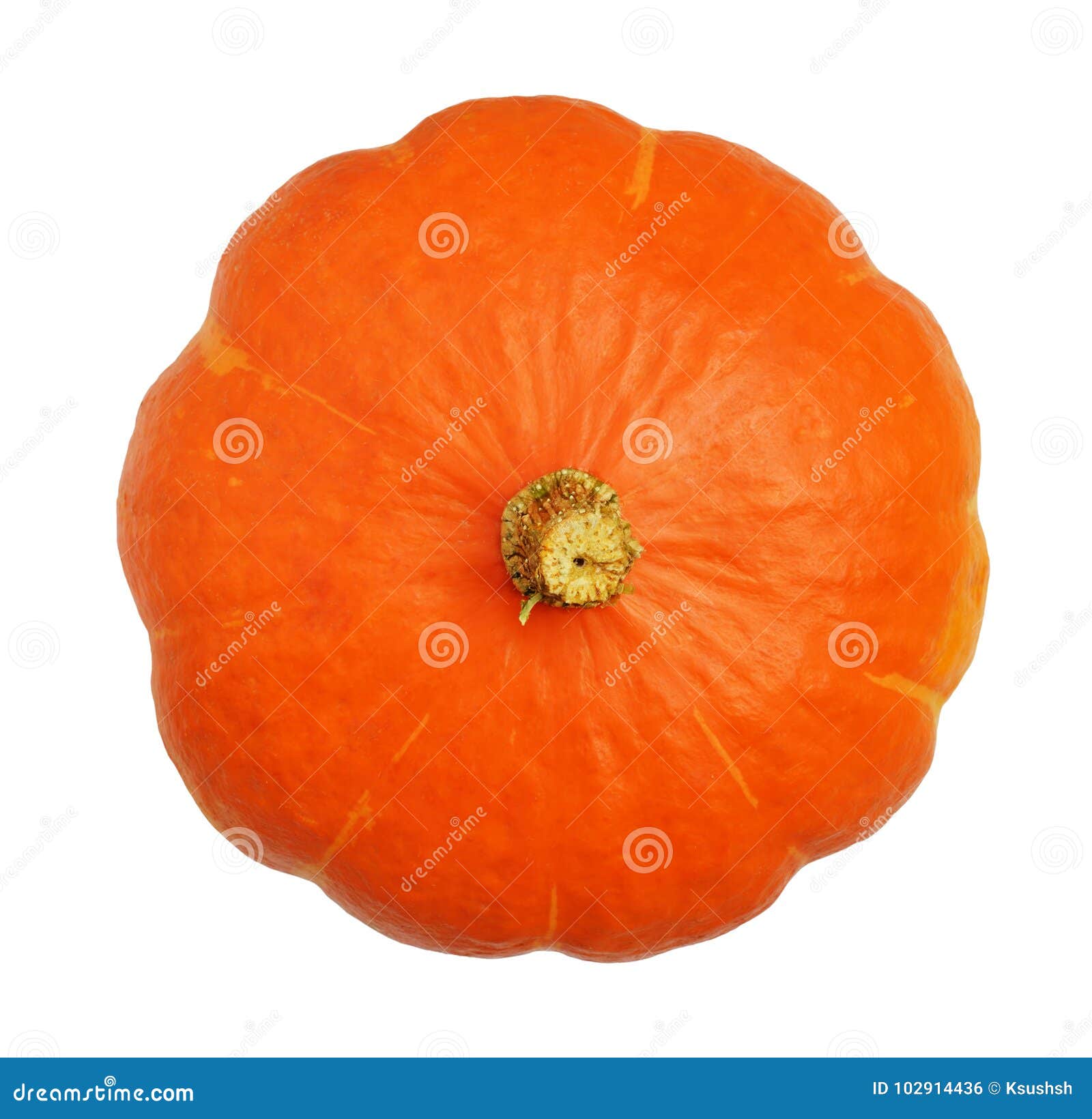 Round pumpkin. Top view. stock photo. Image of healthy - 102914436