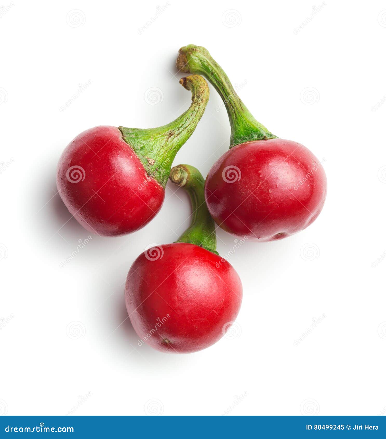 Round red chili peppers. stock image. Image of kitchen - 80499245