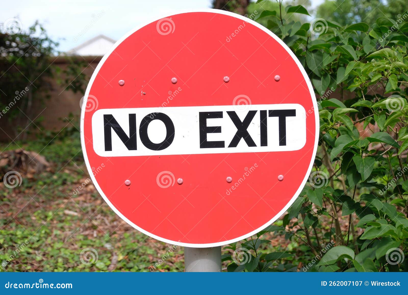 Round Red "No Exit" Sign in a Field Stock Image - Image of round ...