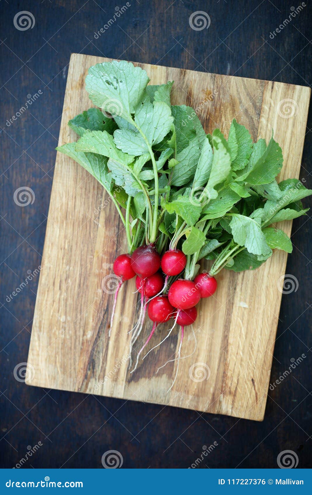 Round Red Radish on the Board Stock Photo - Image of radish, healthy ...