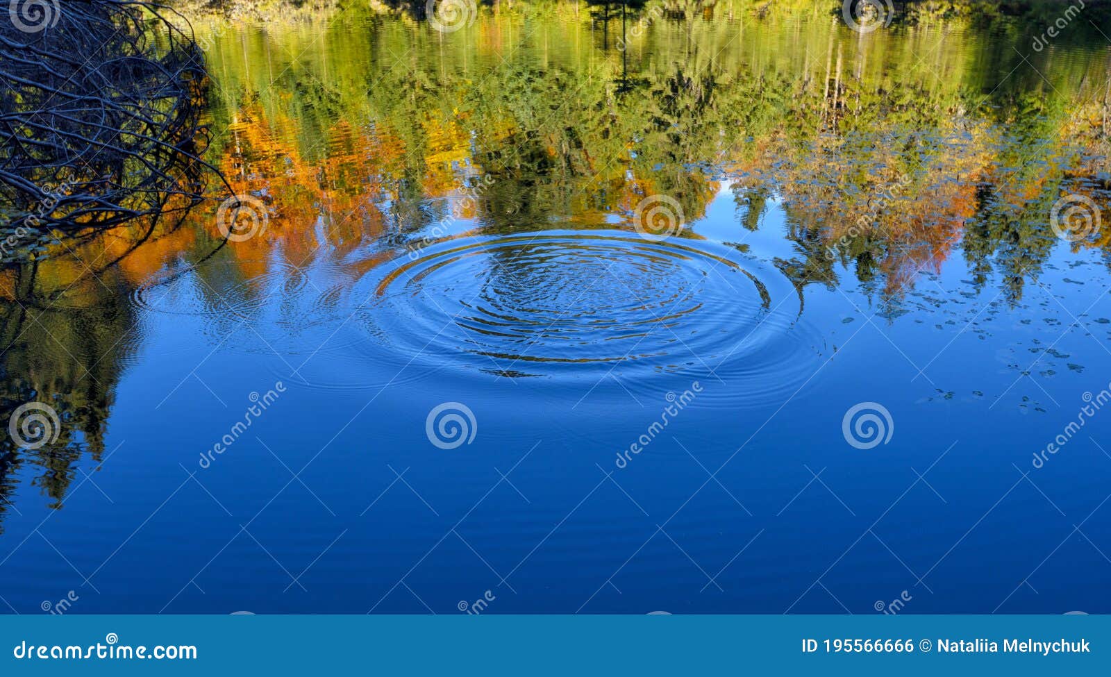 1,070 Pebble Ripples Stock Photos - Free & Royalty-Free Stock Photos ...