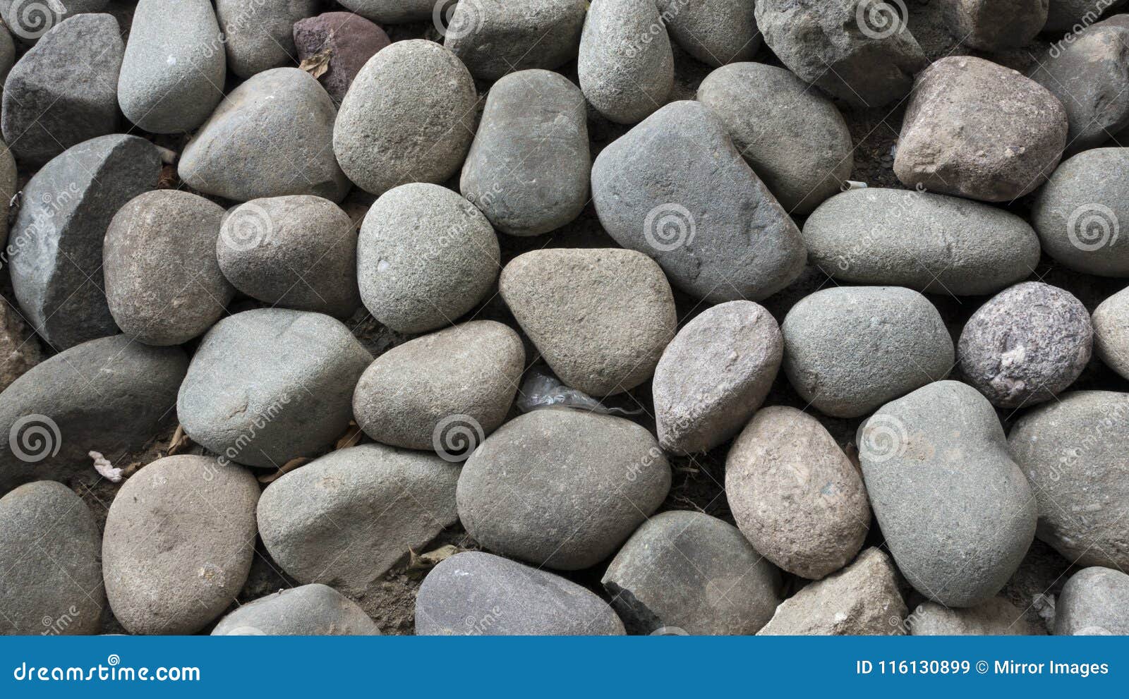 Rock Bed or Rounded Smooth Stones Stock Image - Image of wallpaper ...