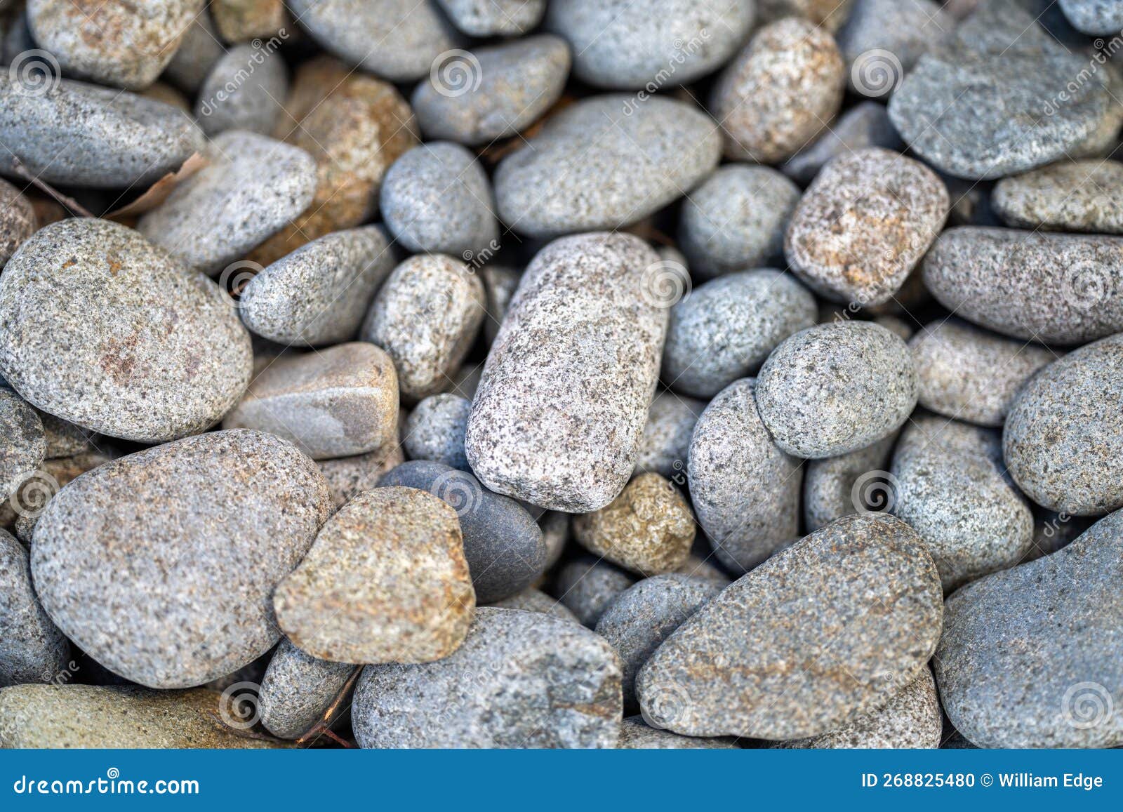 Round Rocks and Pebbles on the Beach in Australia Stock Photo - Image ...