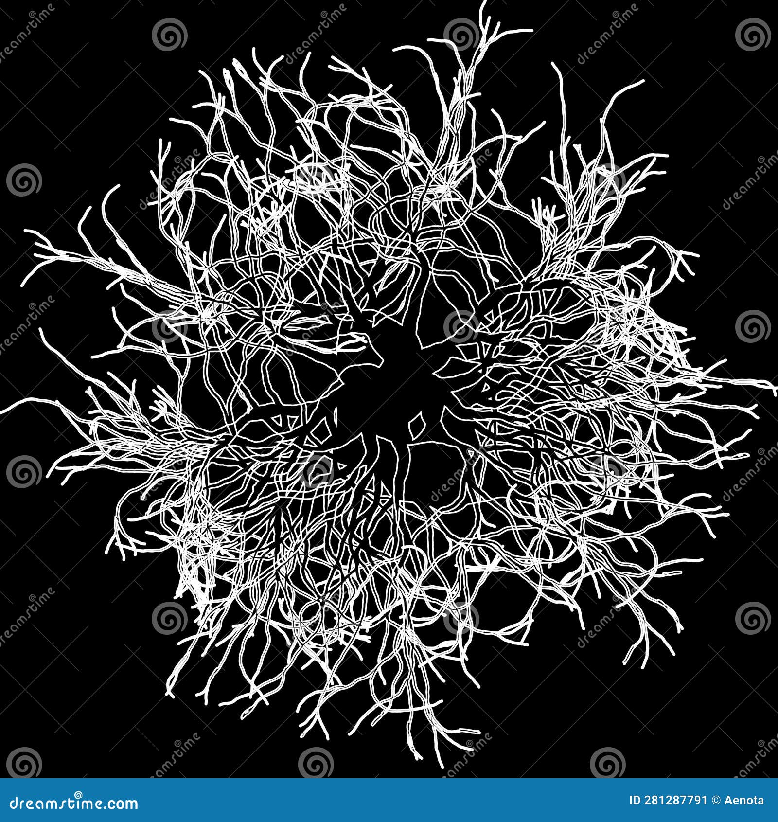 Round Roots on Black - Vector Illustration Stock Vector - Illustration ...
