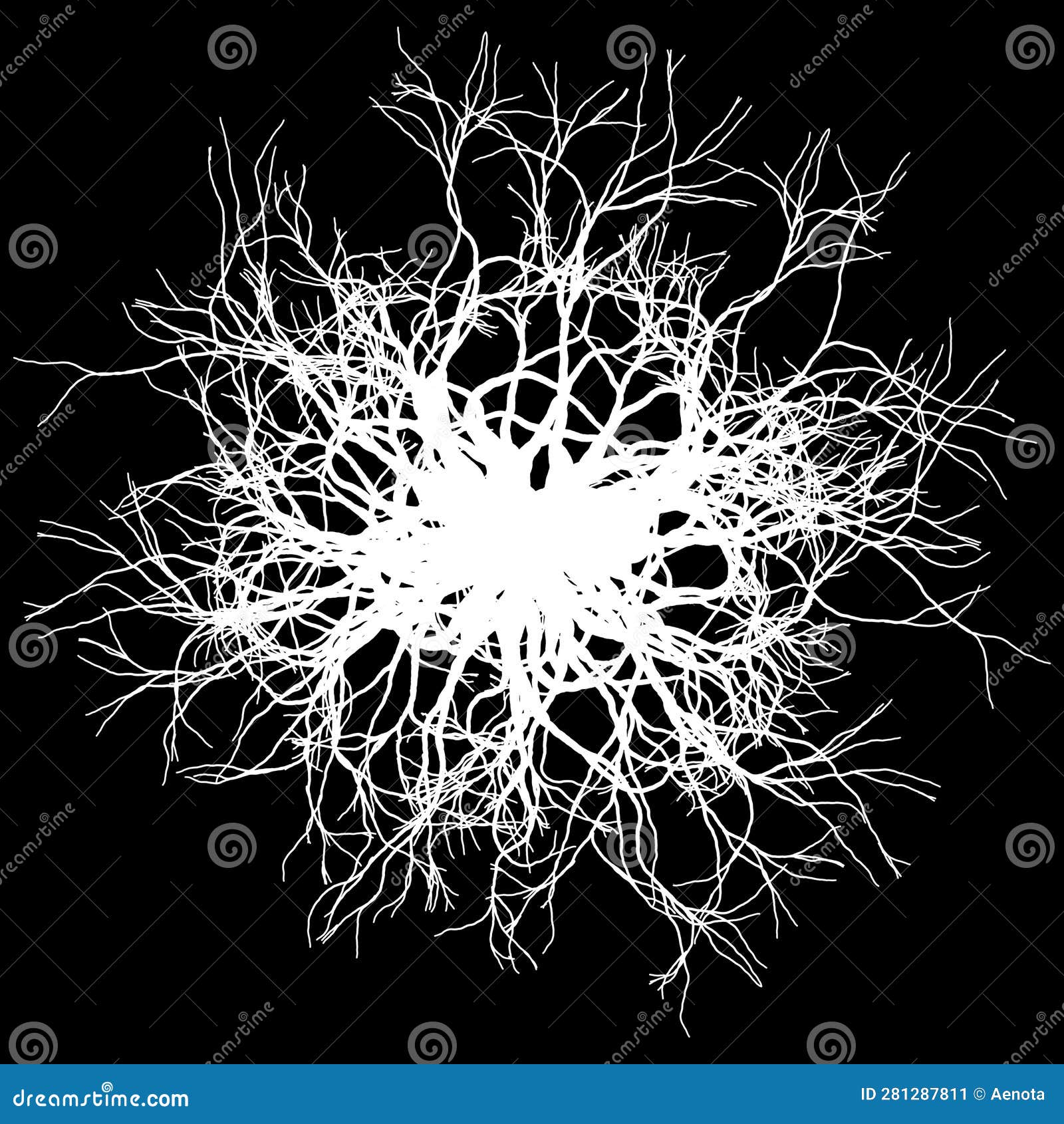 Round Roots on Black - Vector Illustration Stock Vector - Illustration ...