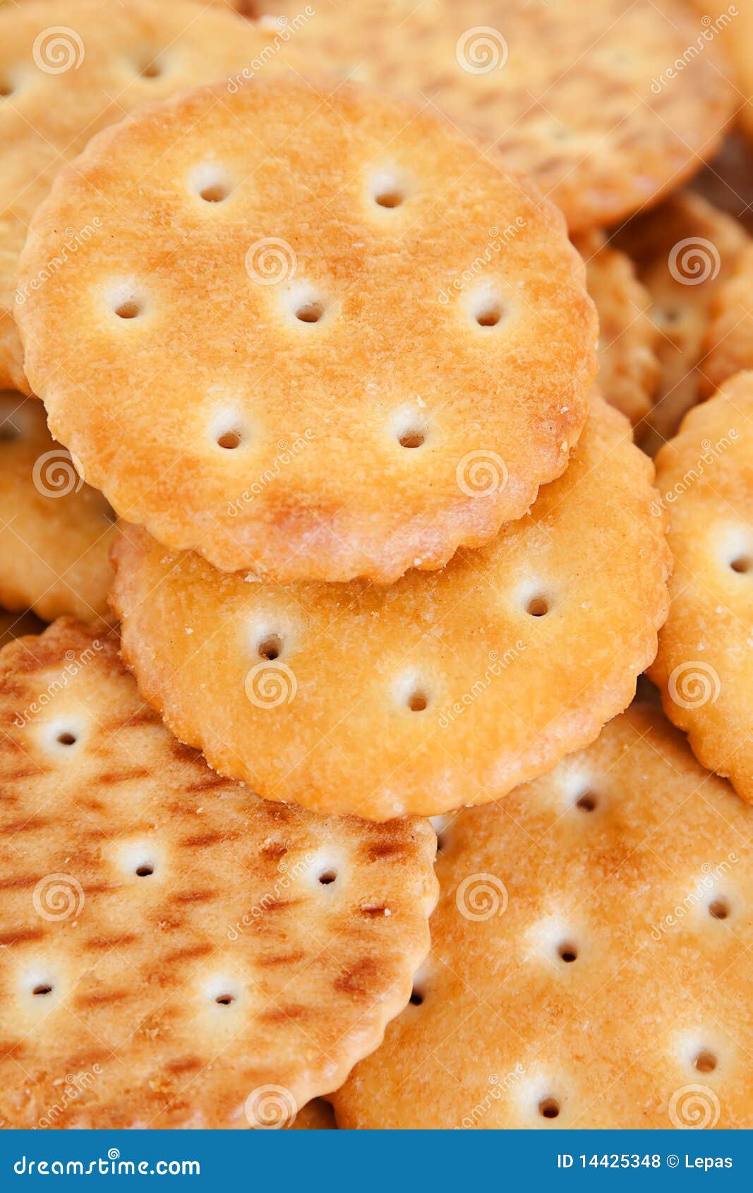 Round salted cookie stock photo. Image of orange, cracker - 14425348