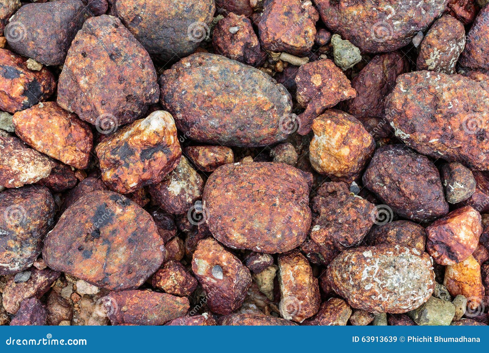 Round sea stones stock image. Image of gravel, outdoor - 63913639