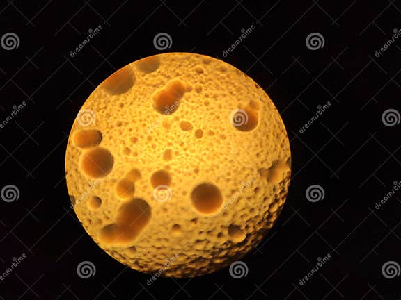 Round Shaped Smooth Bacterial Colonies Under the Microscope Stock Image ...