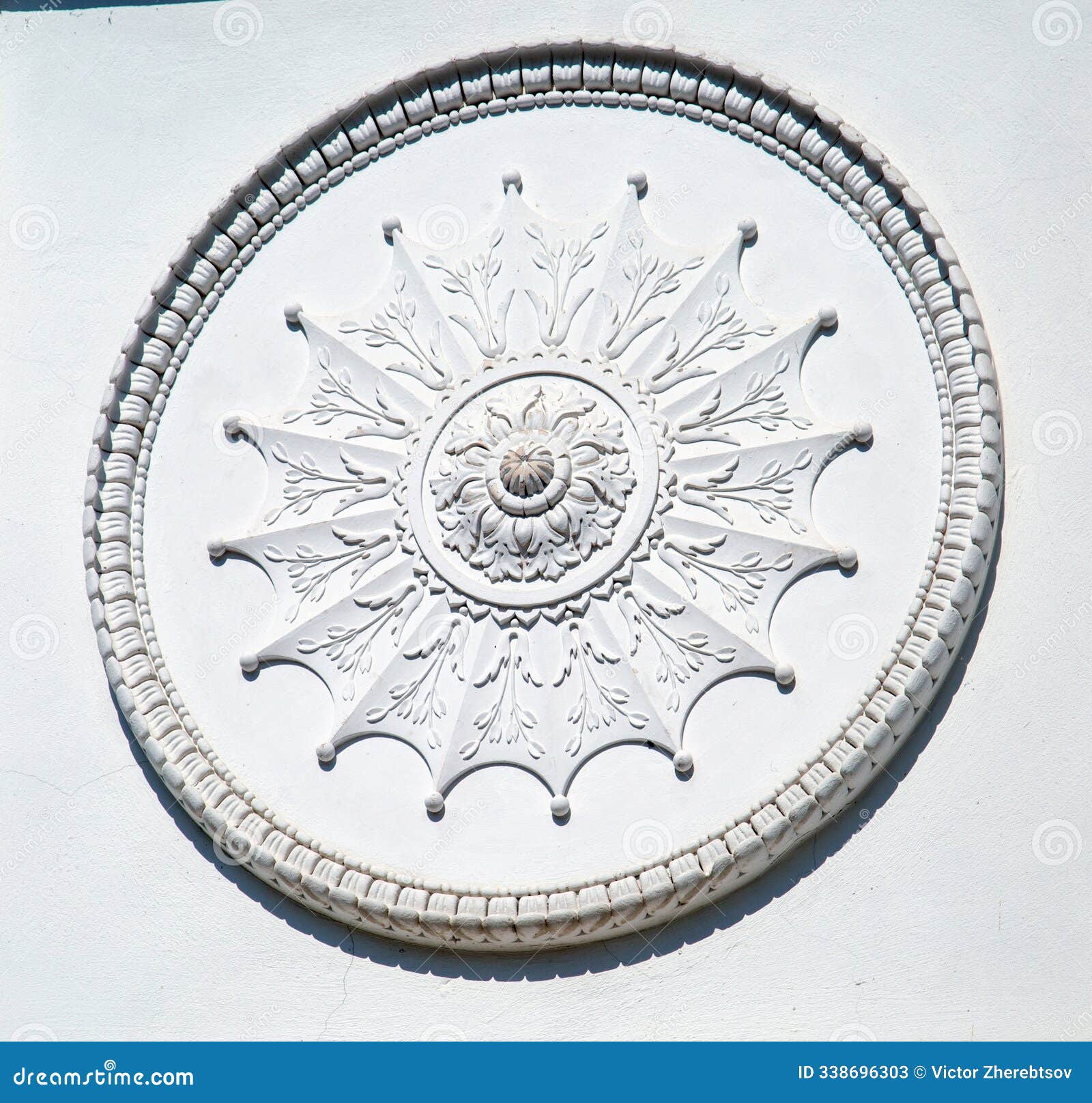 Round Shaped Candida Albicans Colonies Under The Microscope Stock Image ...