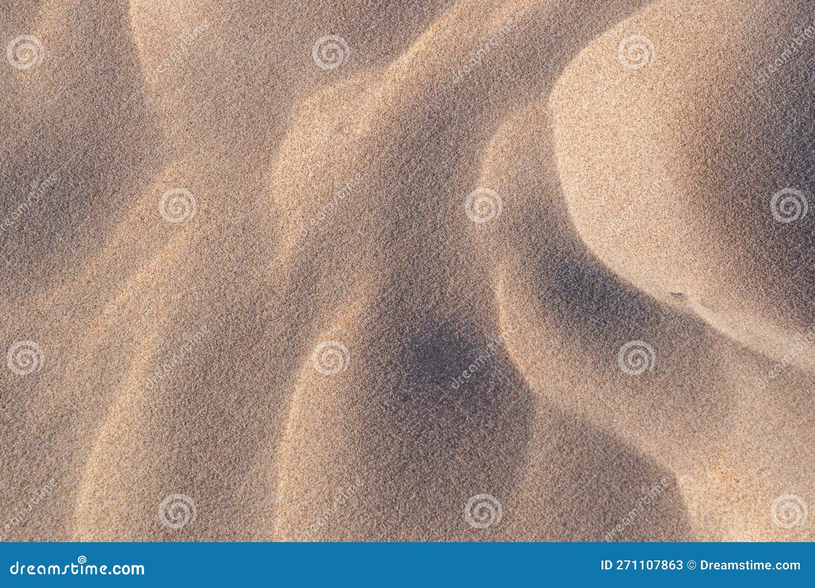 Round Shapes in the Sand in the Sunlight Stock Image - Image of holiday ...