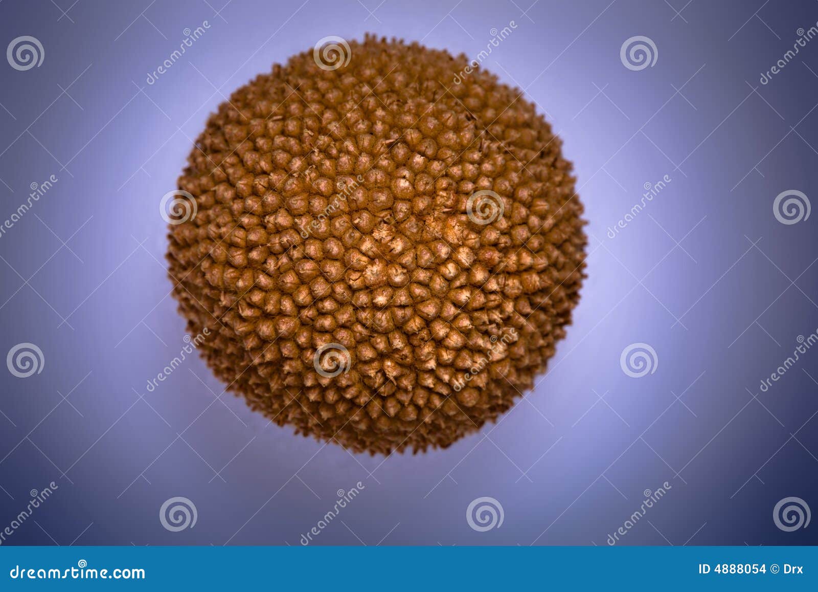 Round Sharp Abstract Sphere Stock Photo - Image of oversharp, ball: 4888054