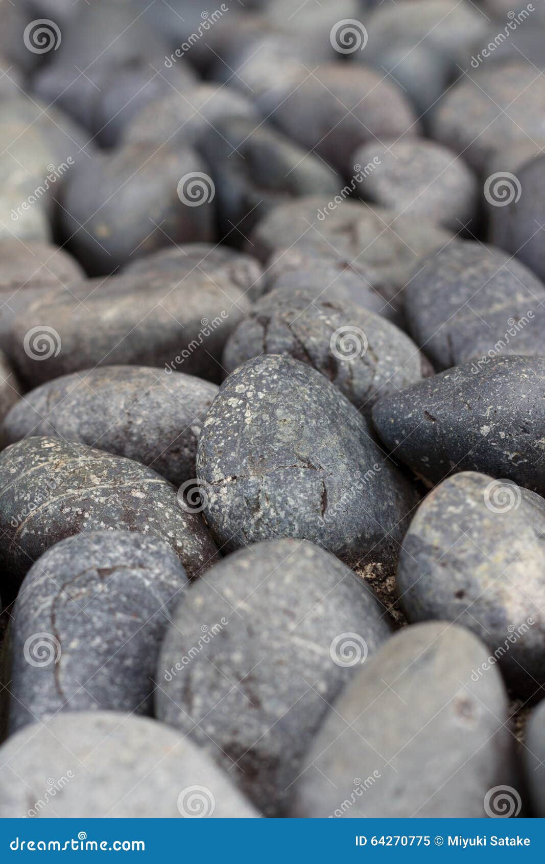 Round sleeky cobbles stock image. Image of grey, path - 64270775