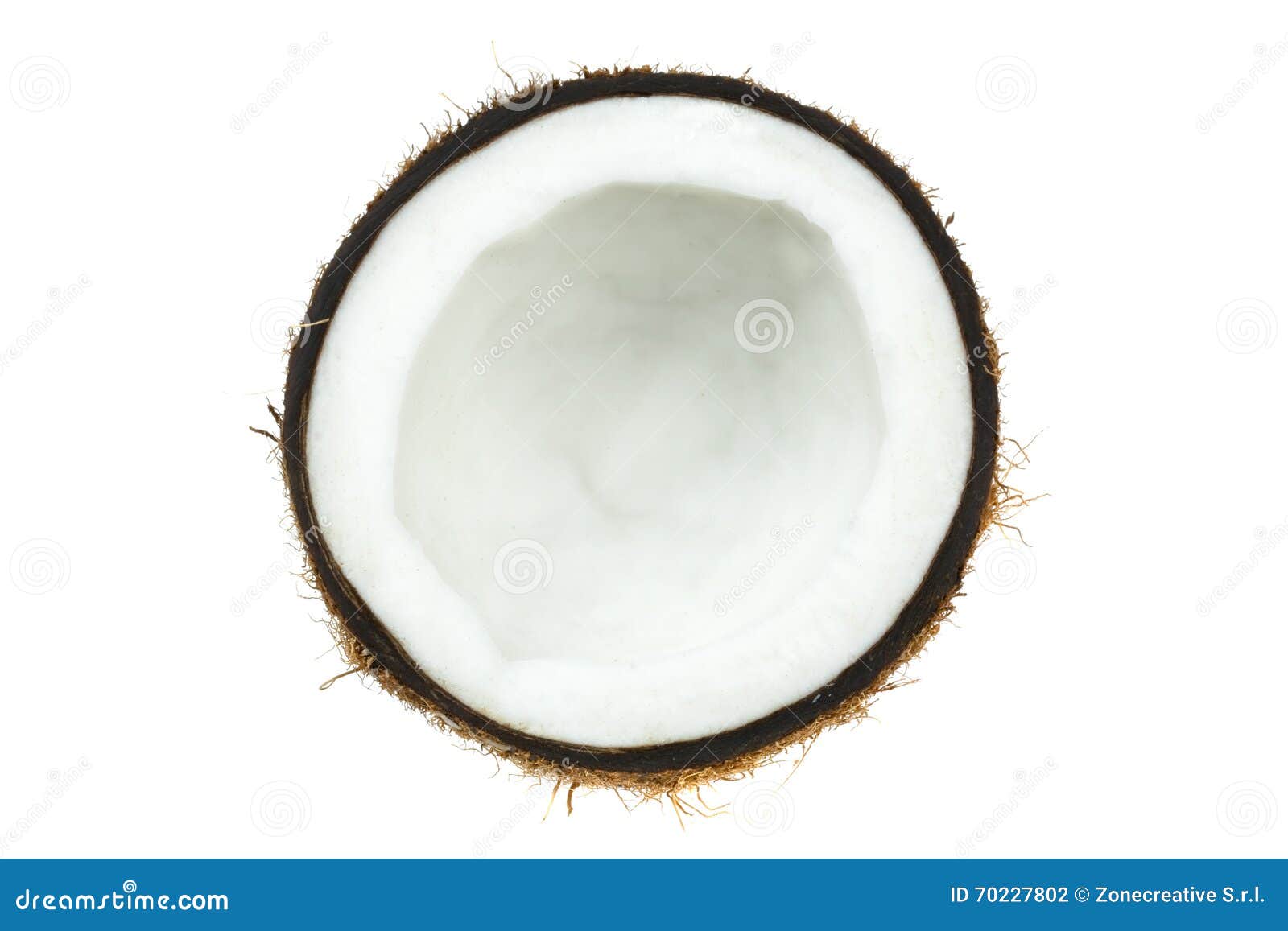 Round Slice of Dry Coconut Isolated on White Stock Photo - Image of ...