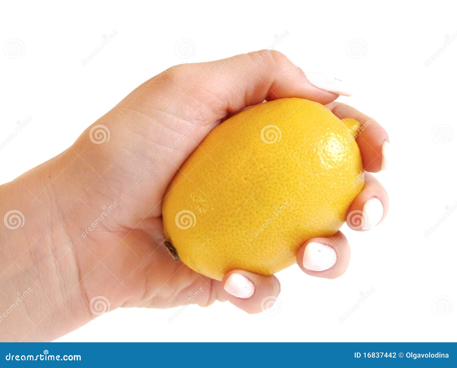 Round Slice of Lemon in a Female Hand Stock Photo - Image of fruit ...