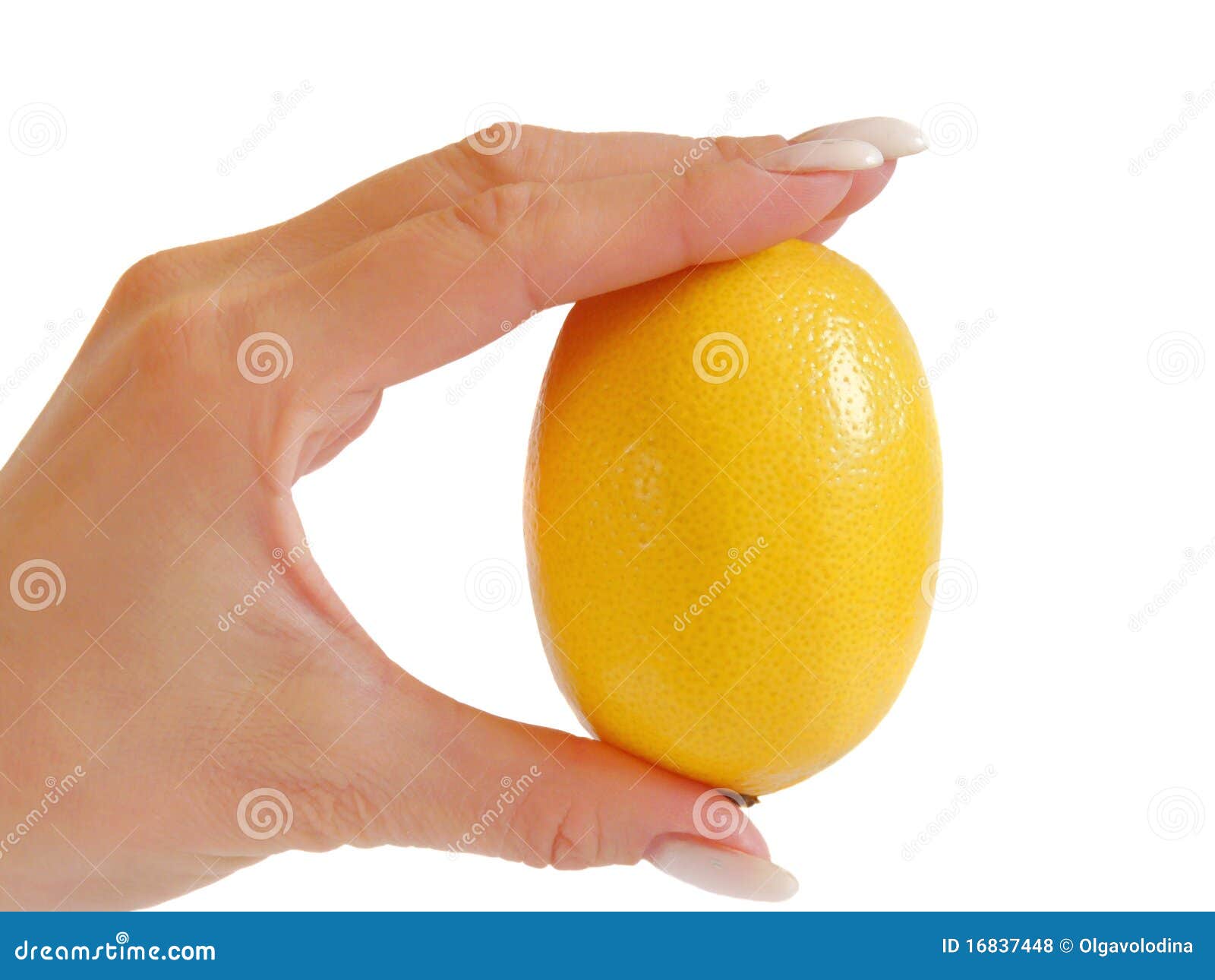 Round Slice of Lemon in a Female Hand Stock Photo - Image of piece ...