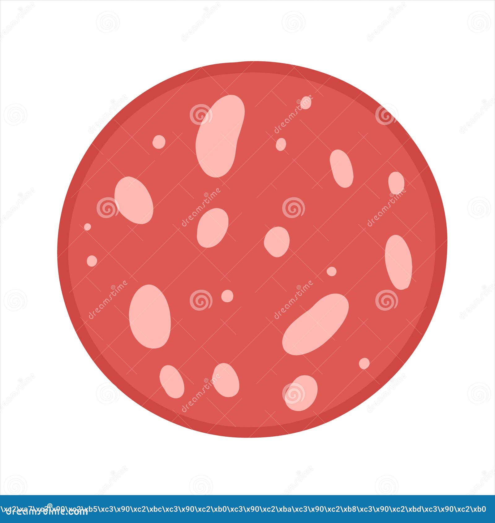 Round Slice of Sausage Salami Vector Flat Material Design Isolated on White Stock Illustration ...