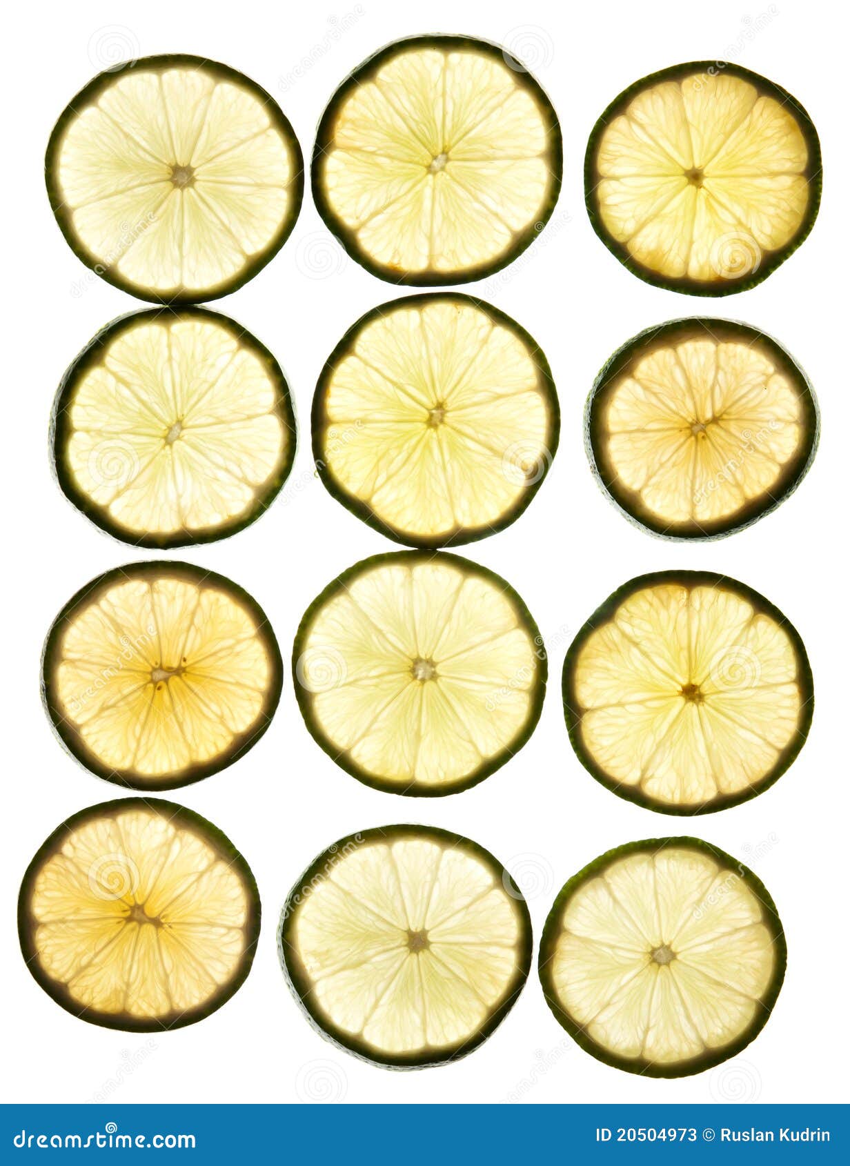 Round slices lime stock image. Image of juice, fresh - 20504973