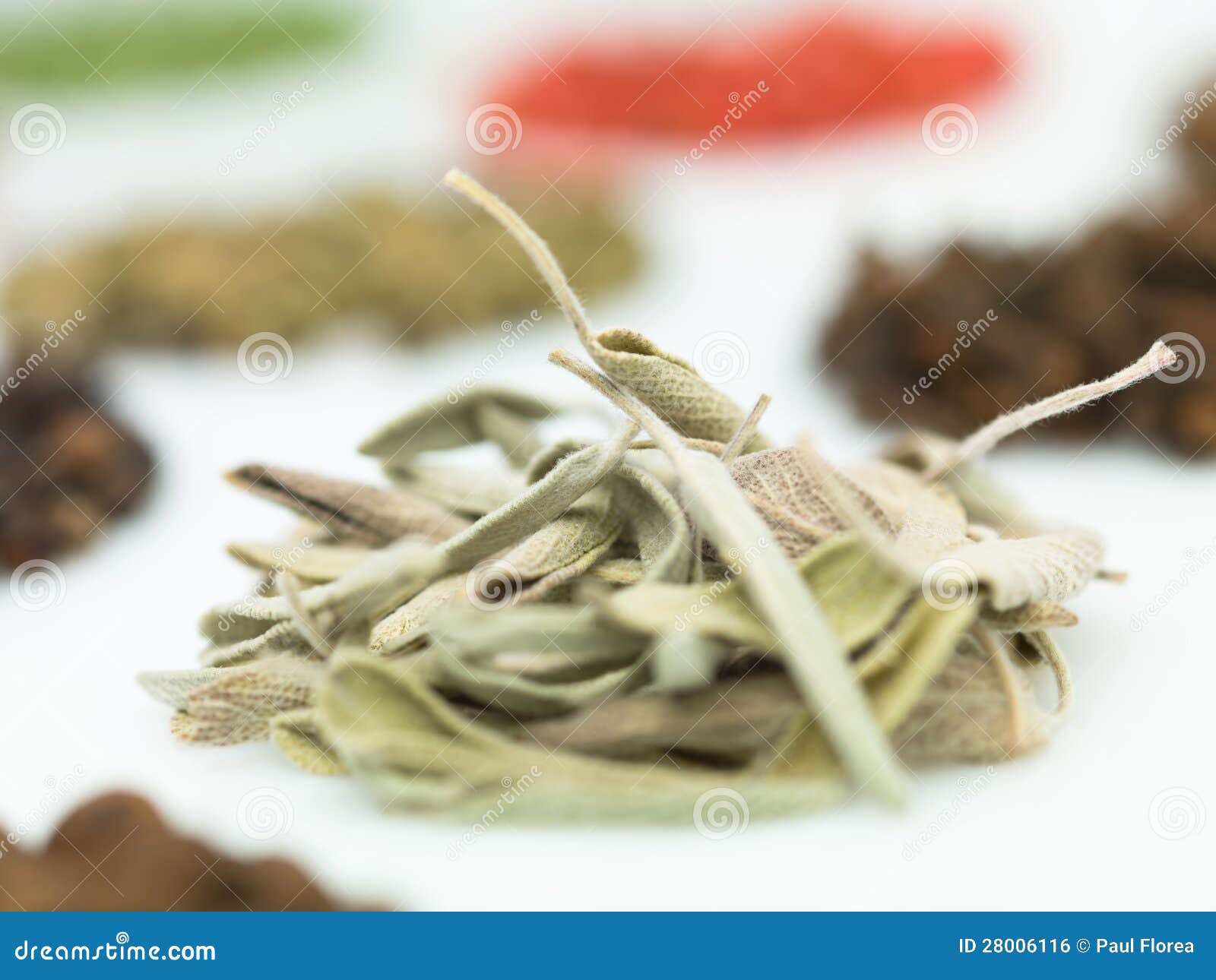 Round spices stock photo. Image of herb, montage, closeup - 28006116