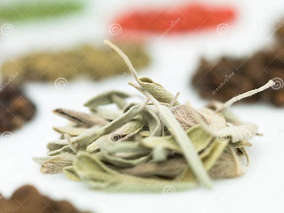 Round spices stock photo. Image of herb, montage, closeup - 28006116