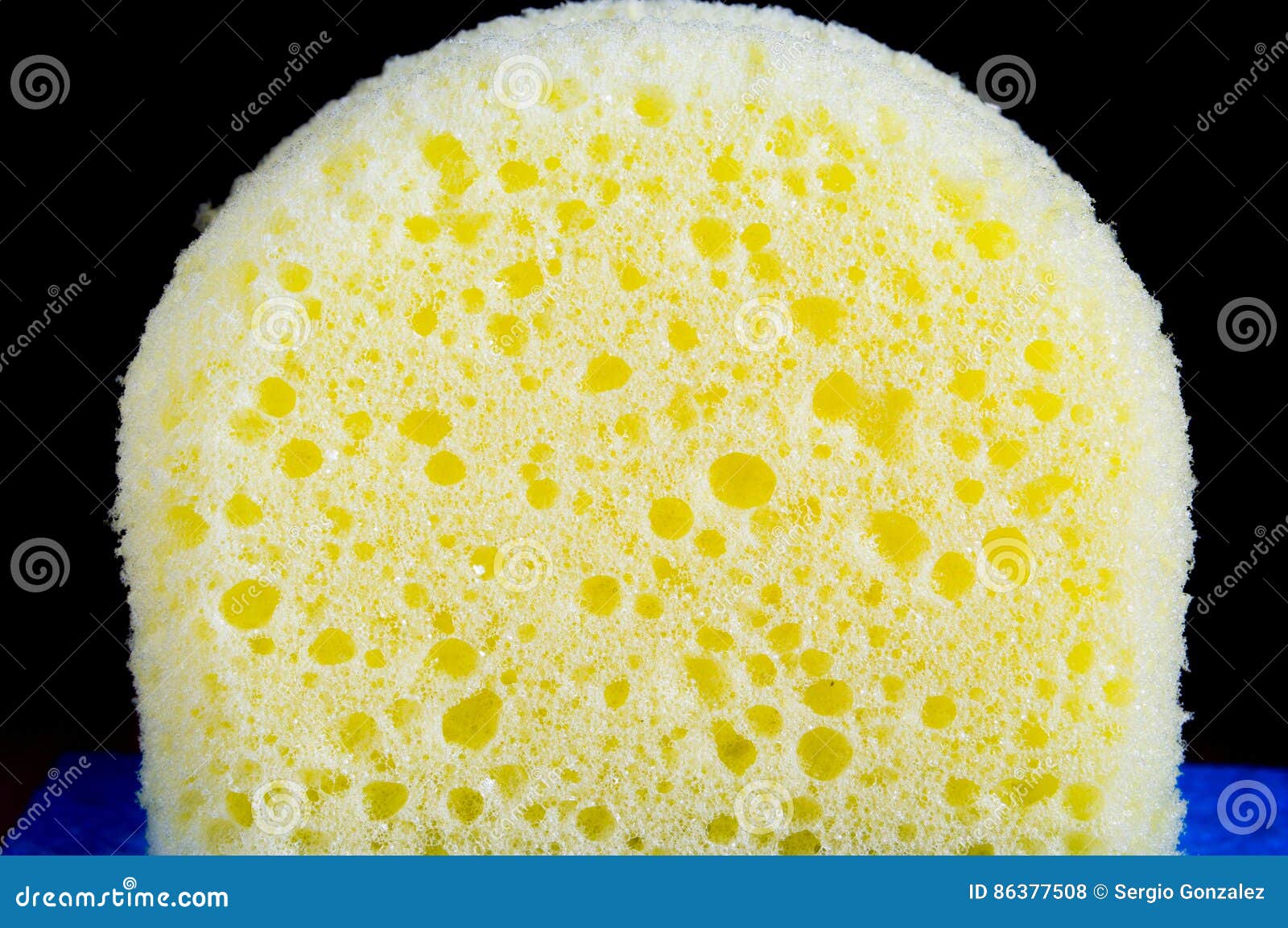 Round sponge stock photo. Image of round, yellow, sponge - 86377508