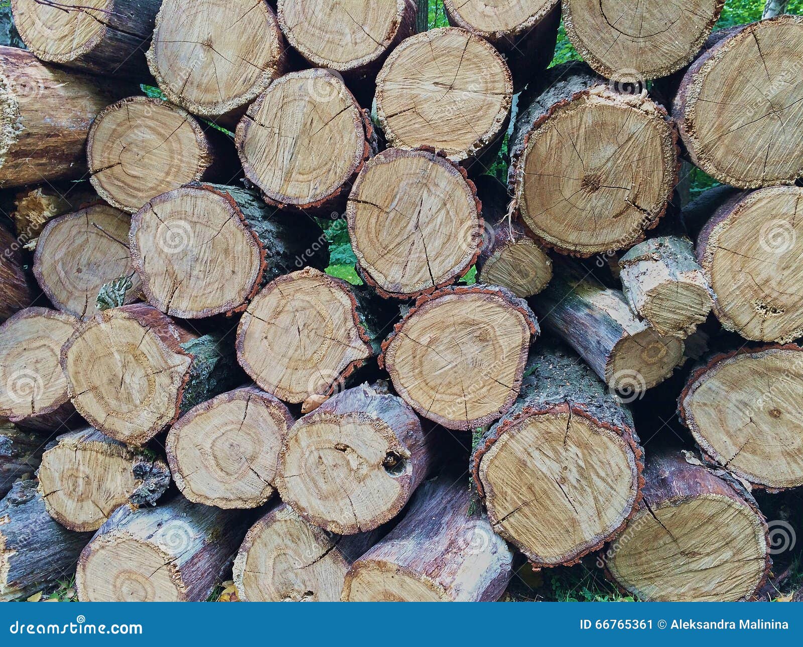 Round stack of firewood in stock image. Image of timber - 66765361