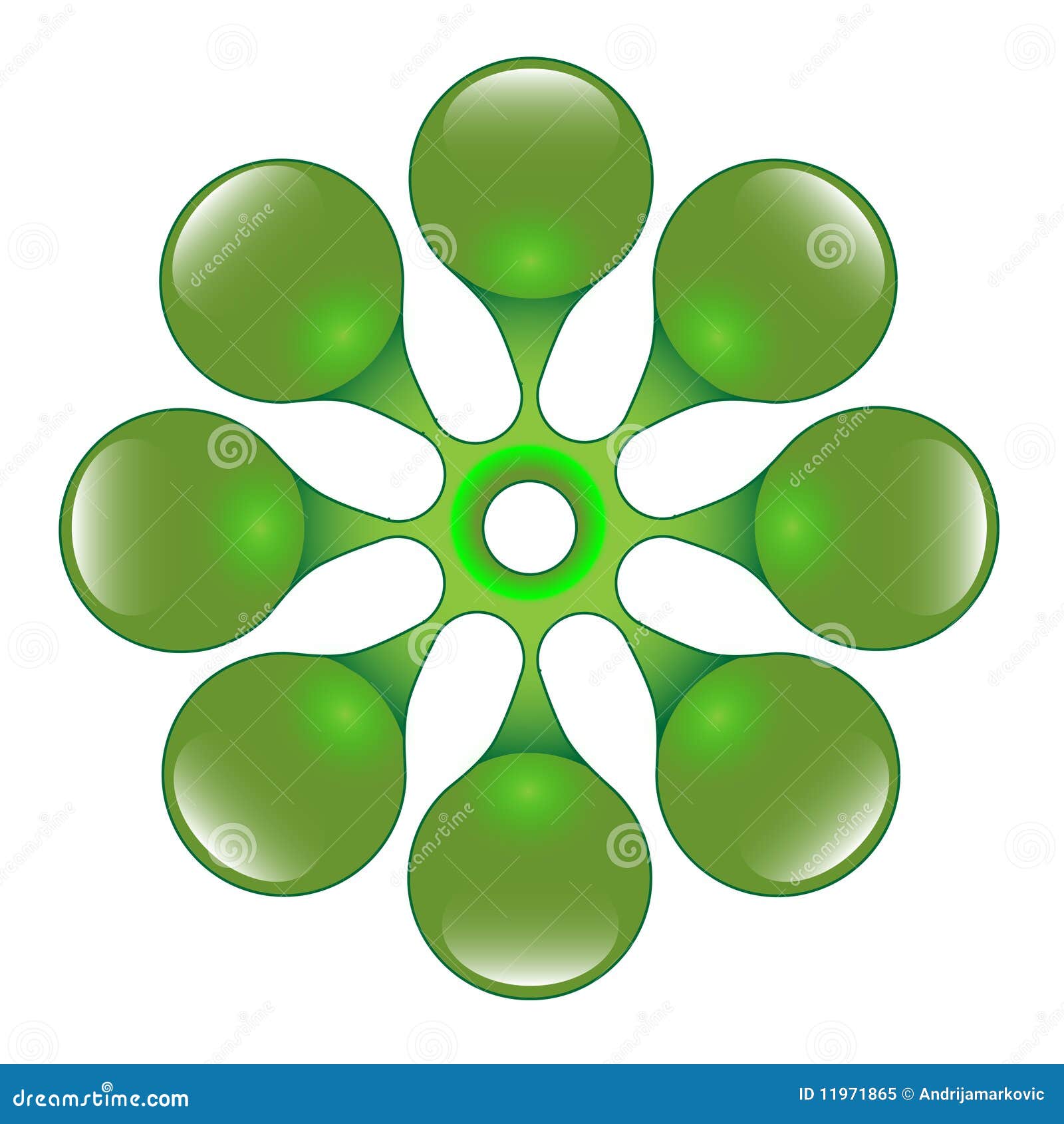 Set Of Eight Branches Of Different Plants On A White Background ...