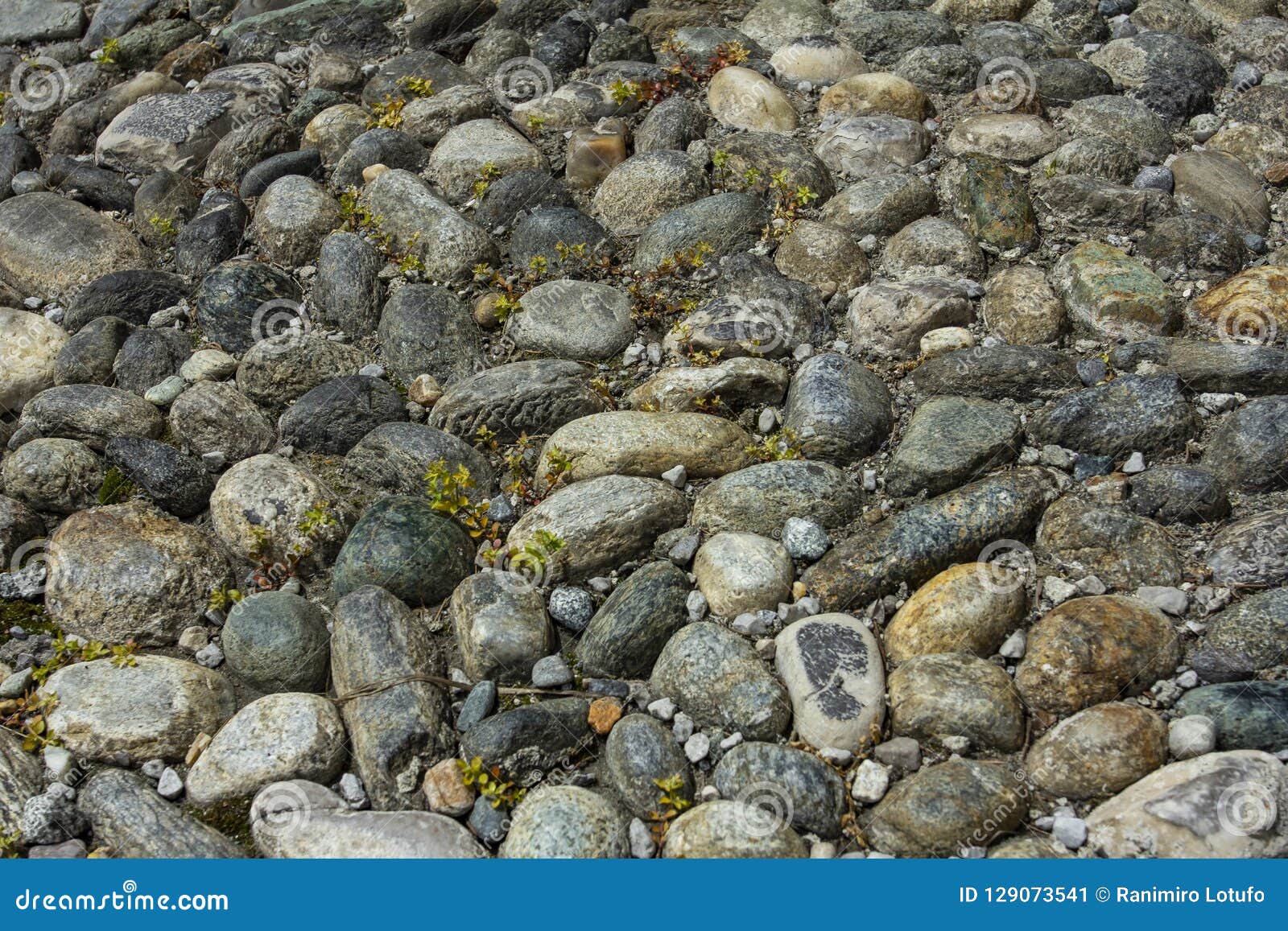Round Stone Floor Background, Background with Stones on the Floor ...
