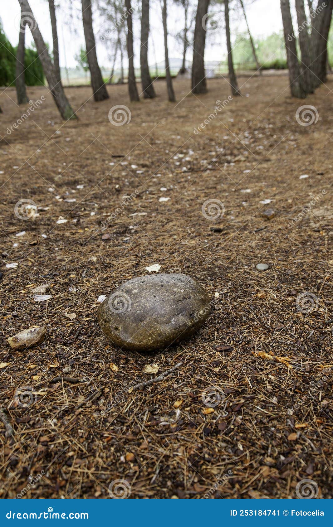 Round stone in the forest stock image. Image of creek - 253184741