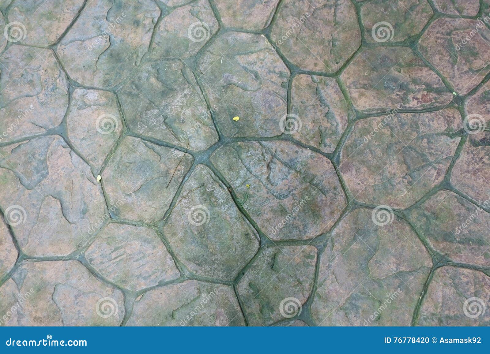 Round Stone with Moss Floor Texture Background. Patio Pavers Cir Stock ...