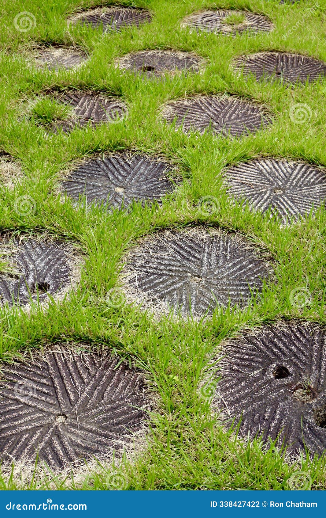Round stone pathways stock photo. Image of decorative - 338427422