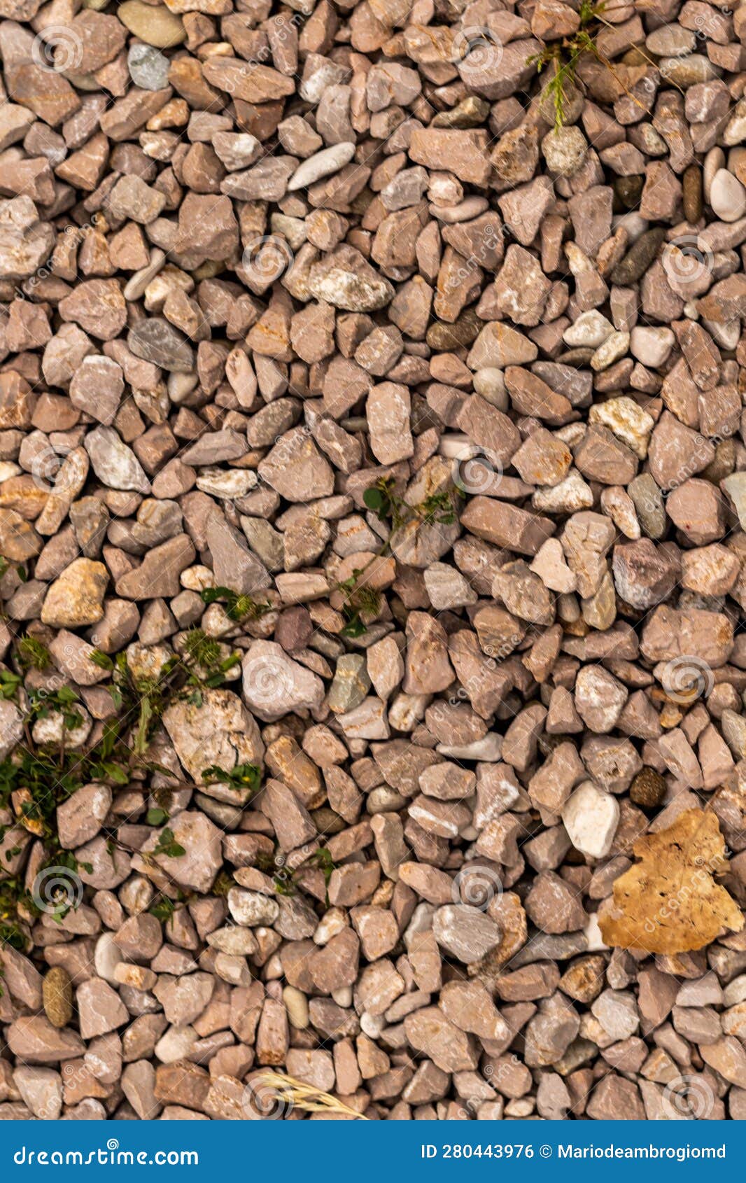 Round stones on the ground stock photo. Image of round - 280443976