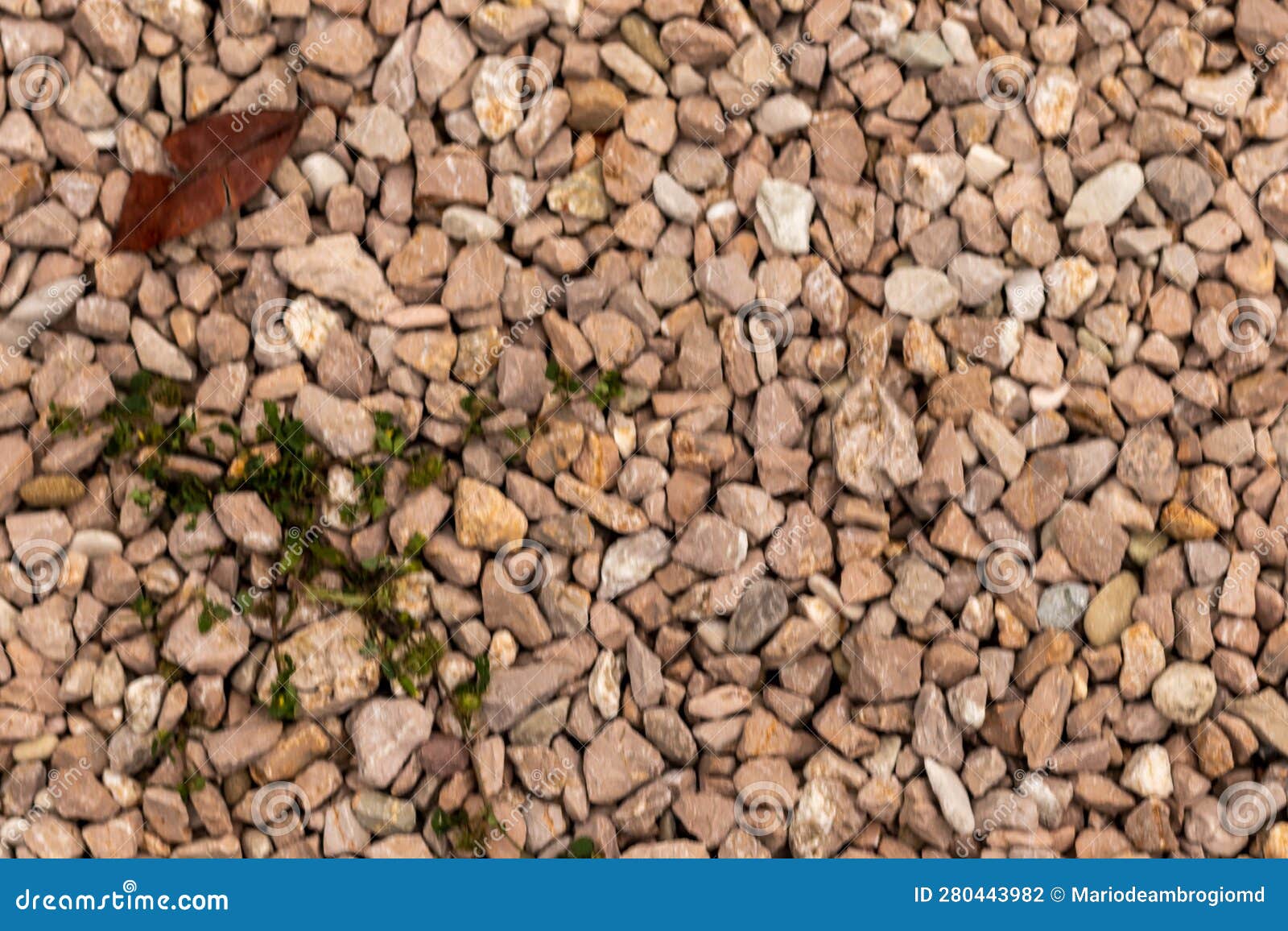 Round stones on the ground stock photo. Image of gravel - 280443982