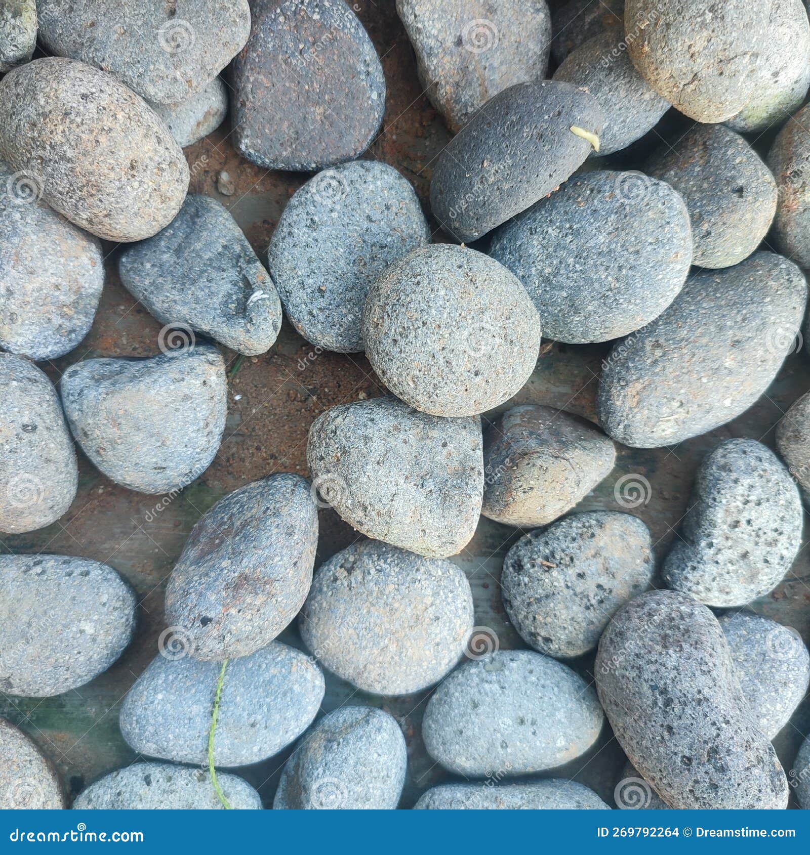 Round Stones Lay on the Ground Stock Photo - Image of brickwork, wall ...
