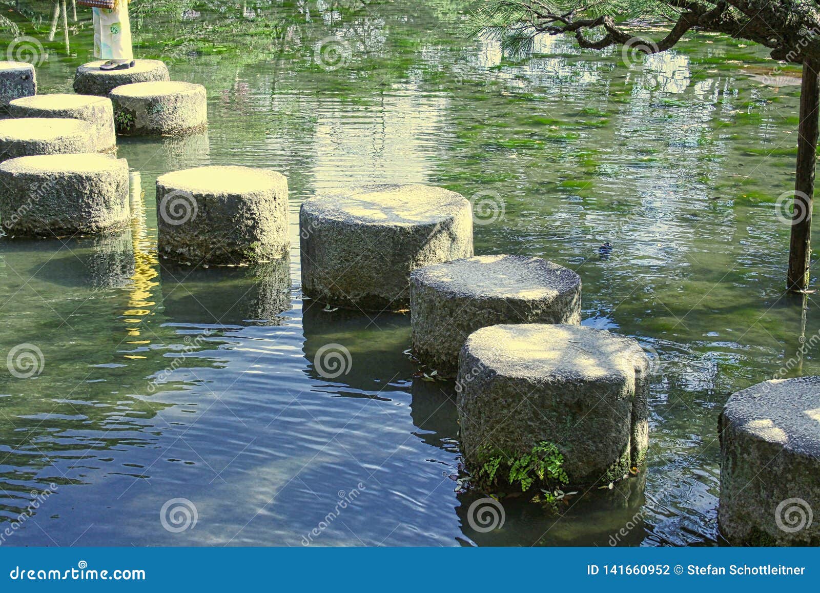 Round stones in a pond stock photo. Image of circle - 141660952