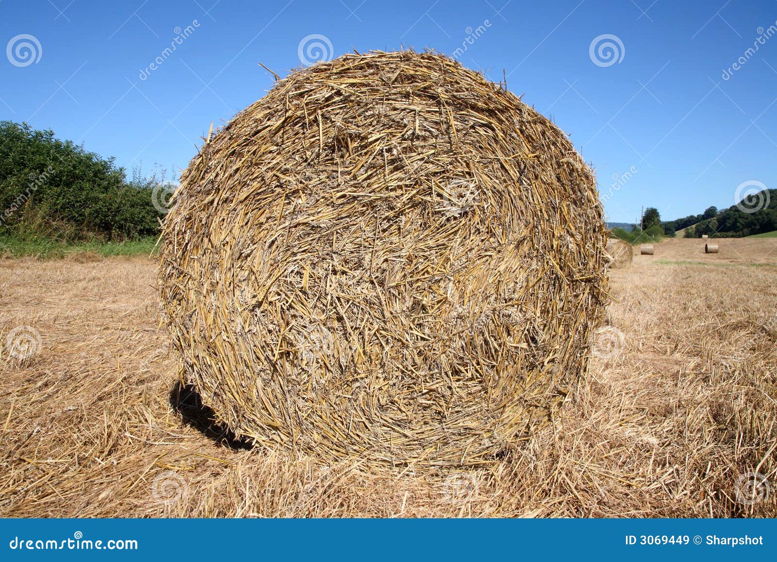 Round Straw Bale in a Field. Stock Image - Image of country, outdoor ...