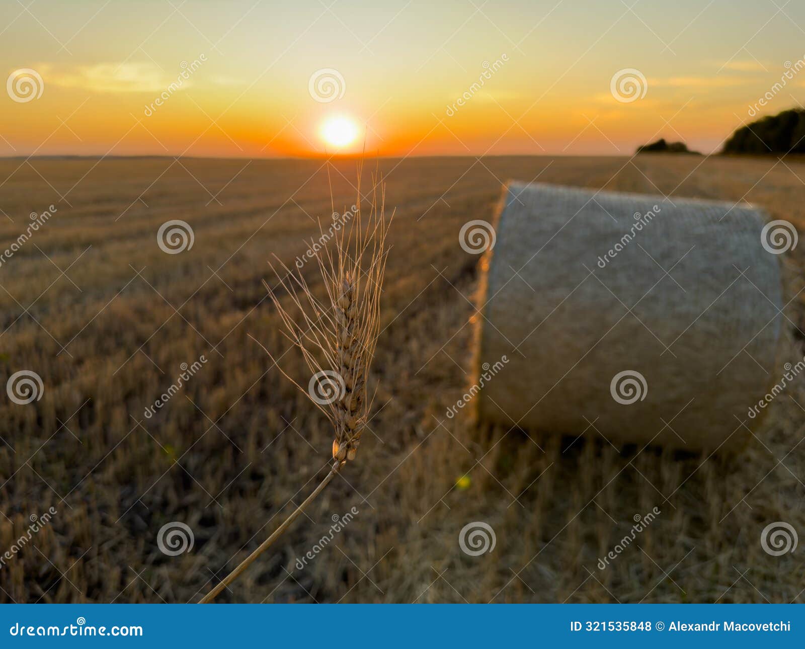 Round Straw Bale in Field at Sunset Stock Photo - Image of farmland ...