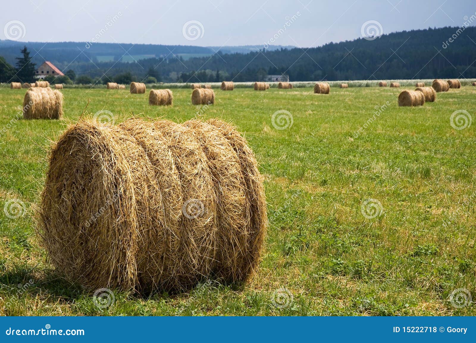 Round straw bales stock photo. Image of nature, landscape - 15222718
