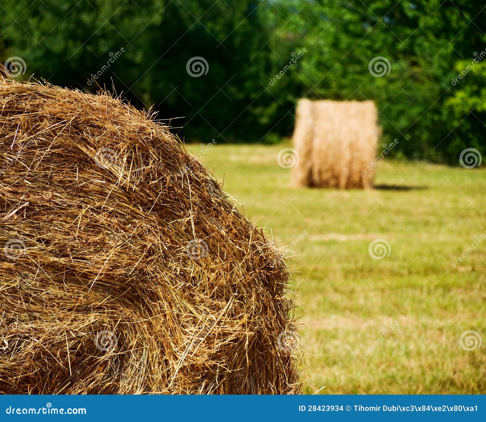 Round straw bales stock photo. Image of nature, stems - 28423934