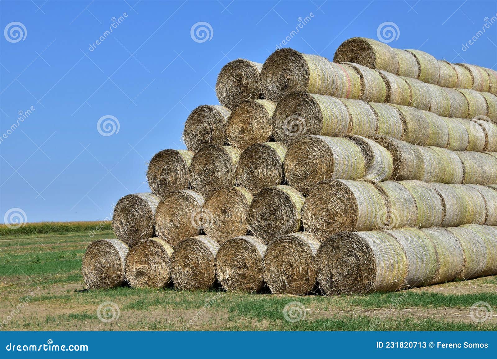 Round Straw Bales, Bale Stack. Stock Image - Image of crop, soil: 231820713