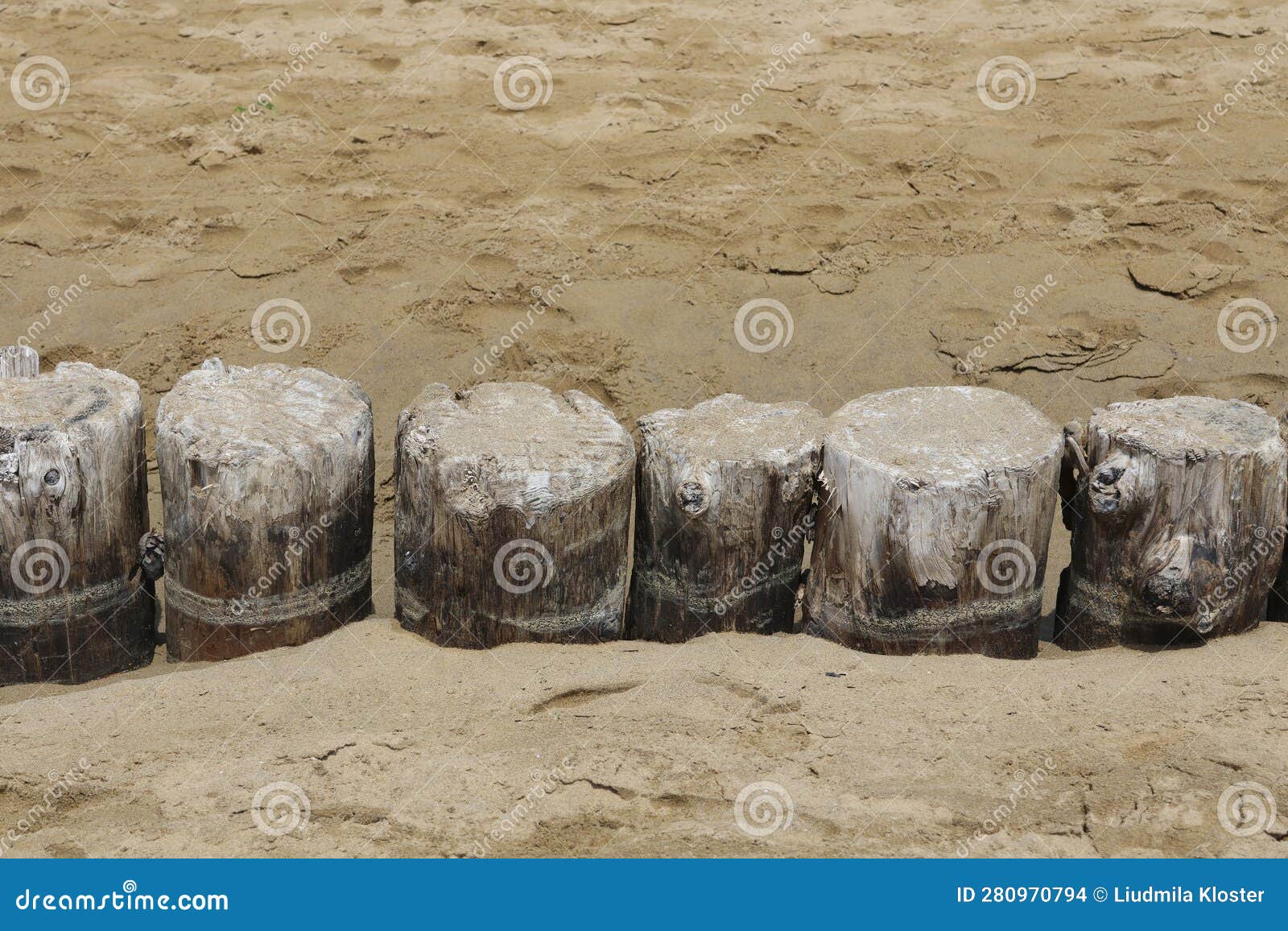 Round stump stock photo. Image of pillar, wood, travel - 280970794