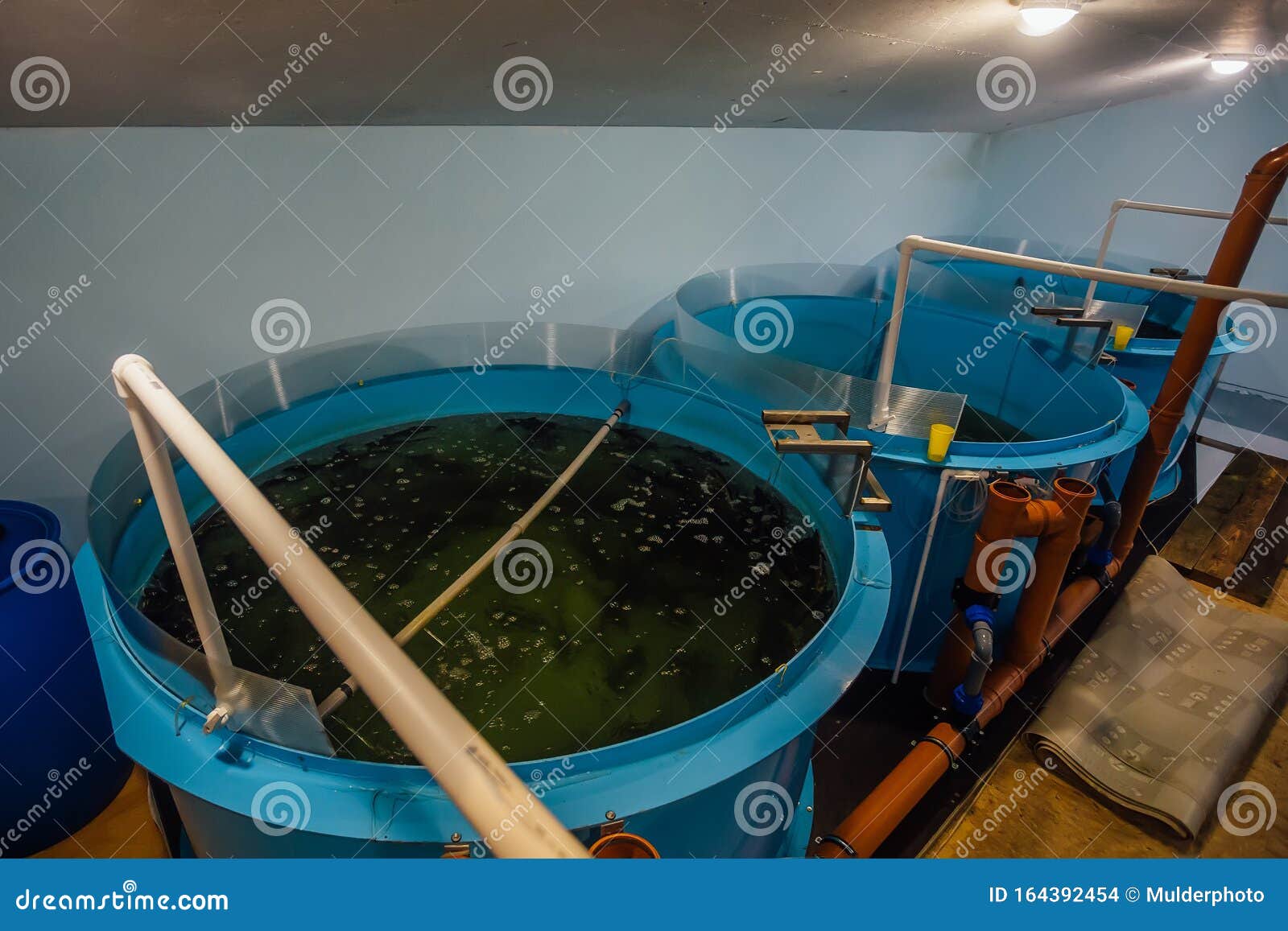 Round Tanks For Wastewater Filtration In Sewage Treatment Plants ...