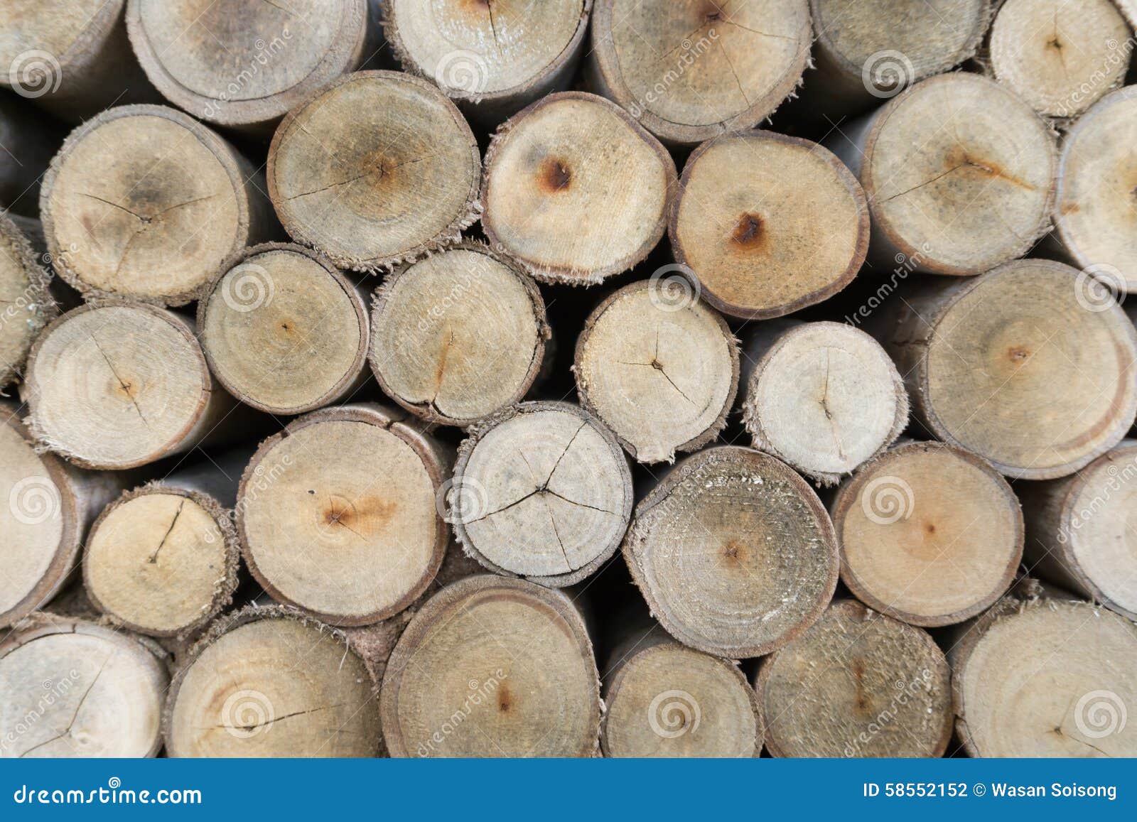 Round Teak Wood Stump Background Stock Photo | CartoonDealer.com #58552152