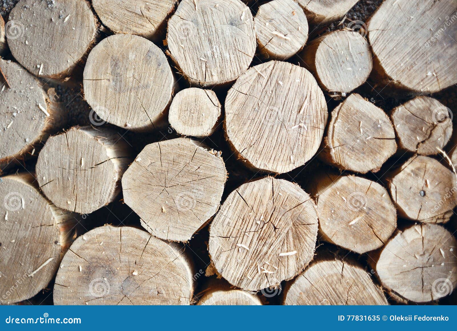 Round Teak Wood Stump Background Stock Image | CartoonDealer.com #77831635