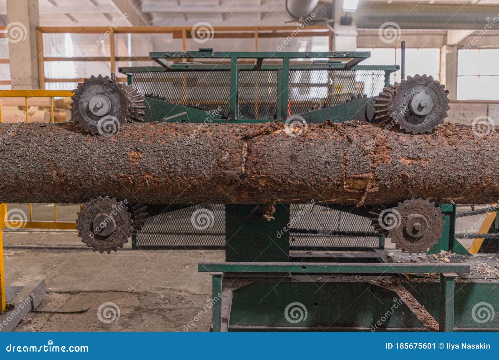 Processing of Round Timber Logs for Building Wooden House. Removing ...