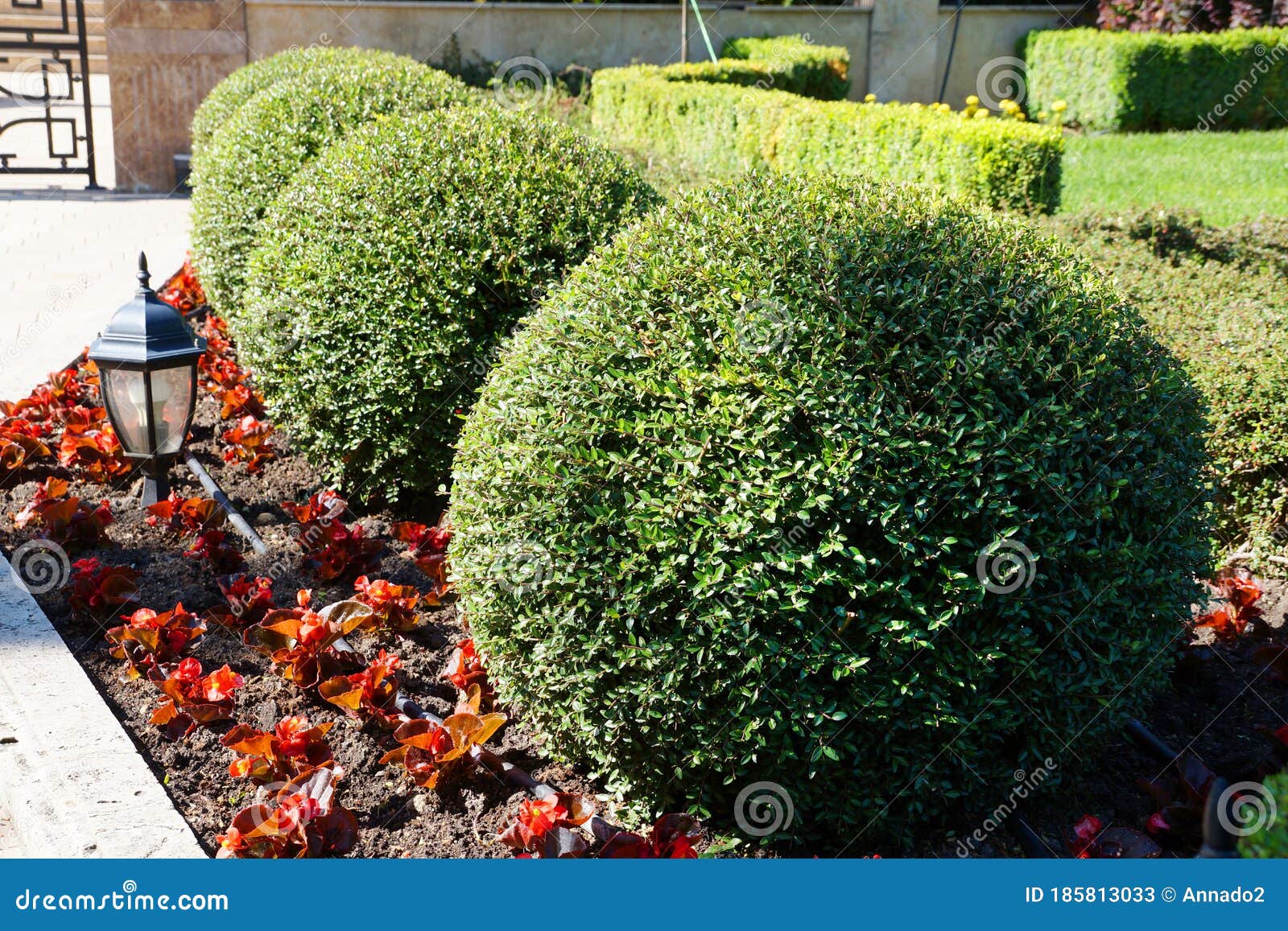 Round Topiary, Green Border in the Park Stock Image - Image of hedge ...