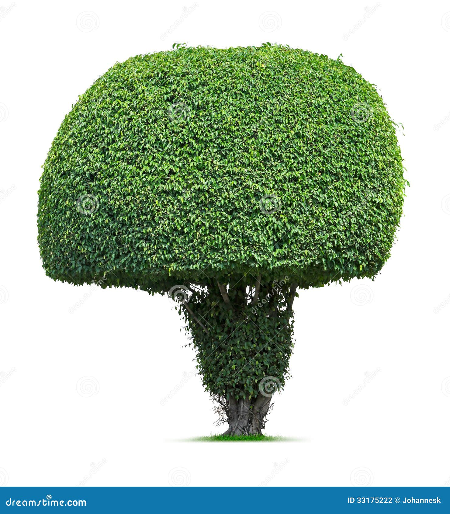 Round Tree Stock Photography - Image: 33175222