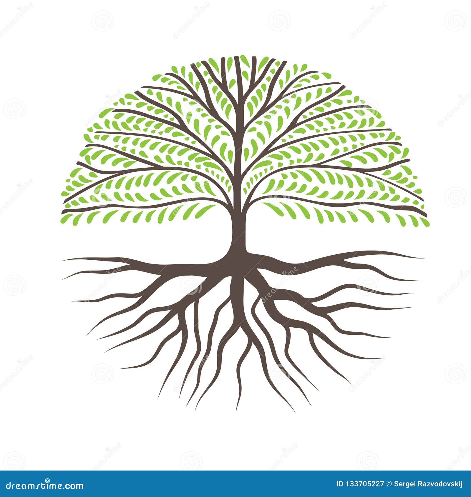 Round Tree with Roots stock vector. Illustration of round - 133705227