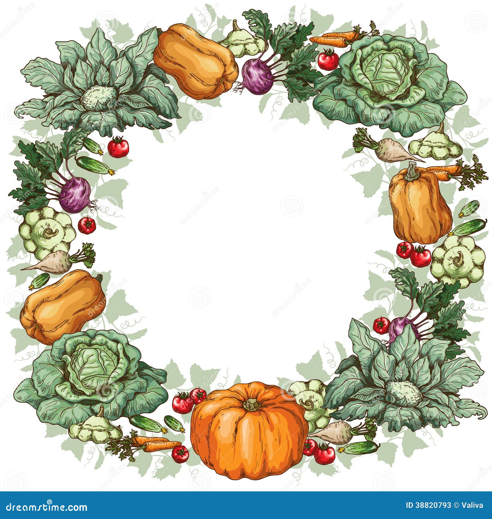 Round vegetable frame stock vector. Illustration of drawing - 38820793