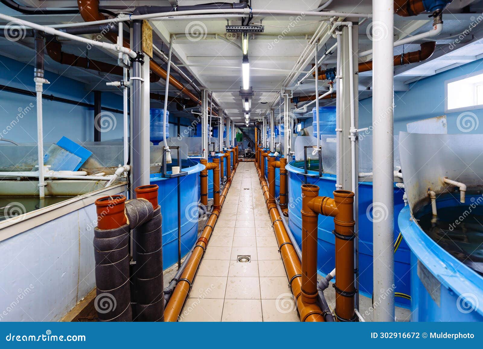 Round Water Basins with Automatic Feeding and Water Recirculation for ...