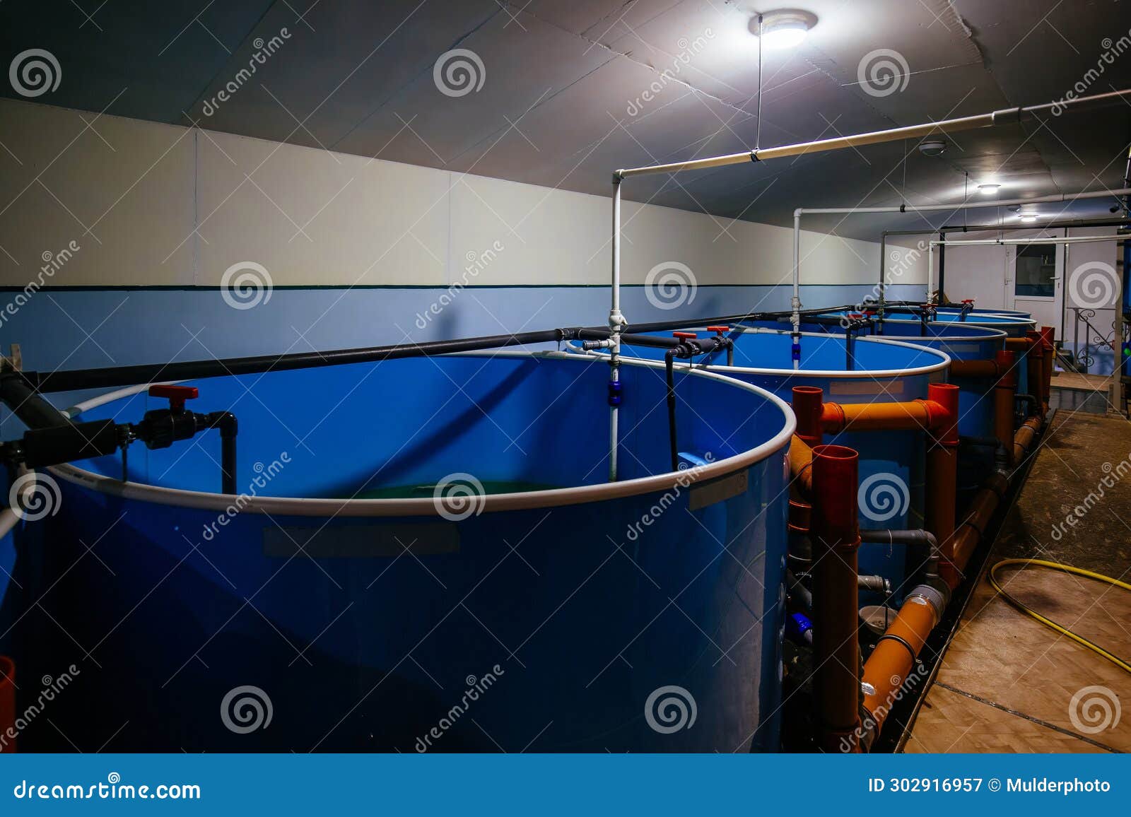 Round Water Basins with Automatic Feeding and Water Recirculation for ...